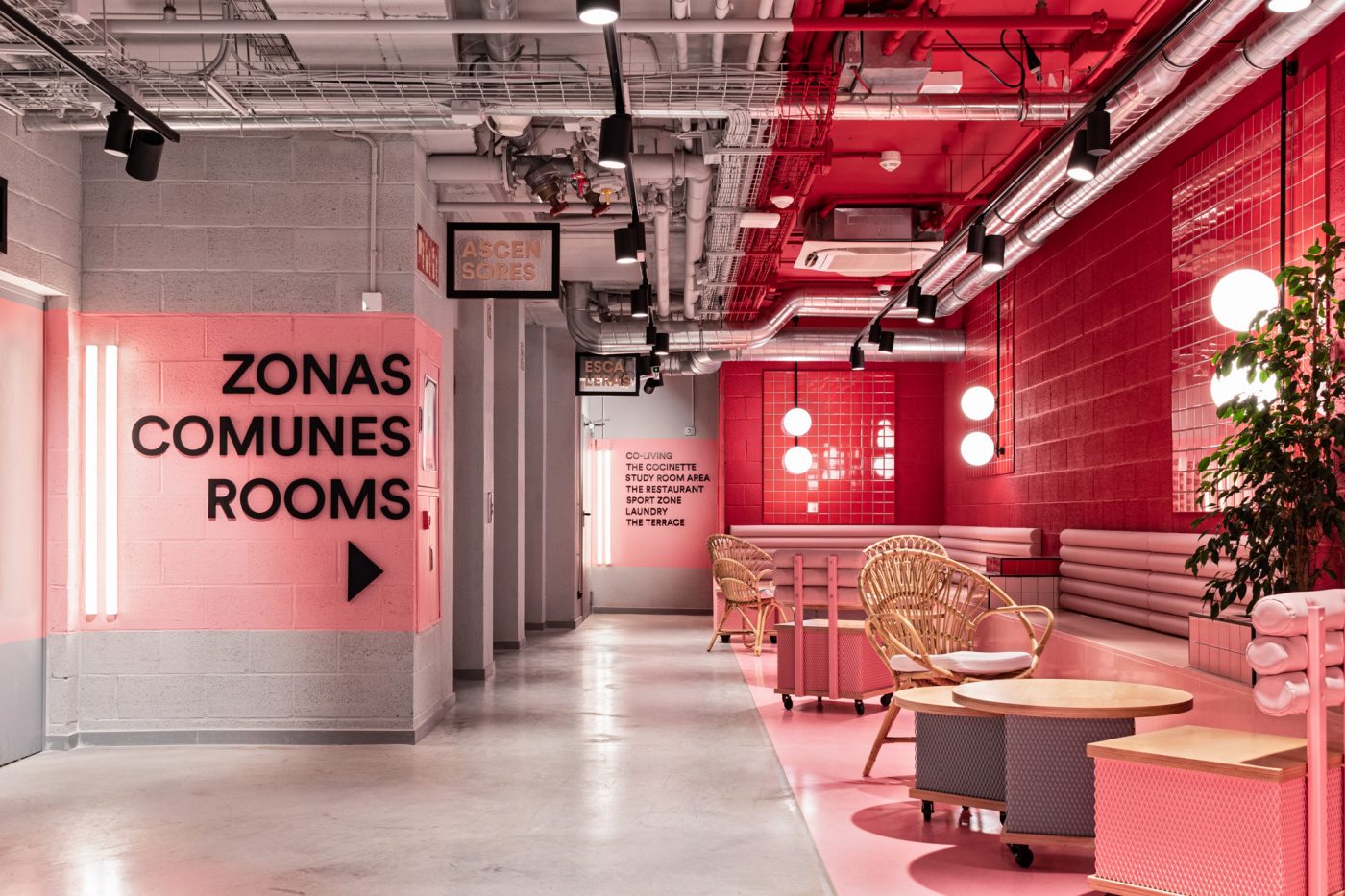 Inside The Colorful Design World of Masquespacio